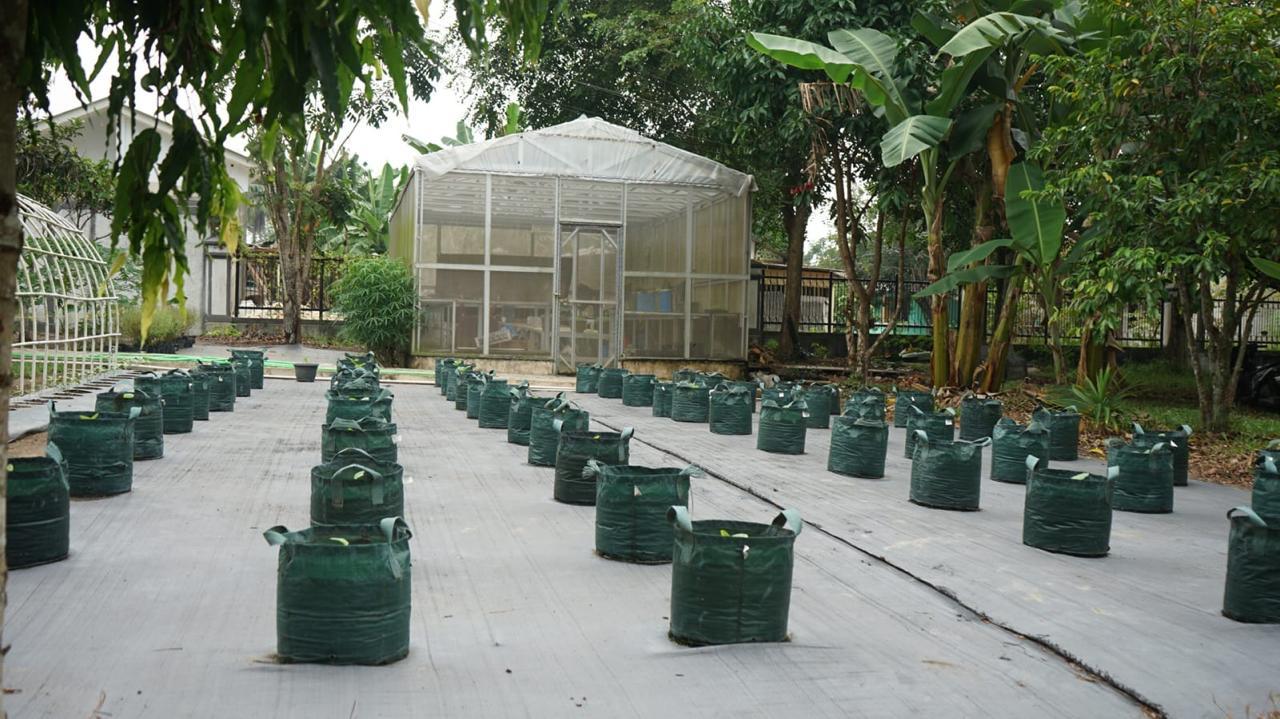 Ada Mini Zoo hingga Aneka Tanaman, Pj Gubernur Sugito Jadikan Rumah ...